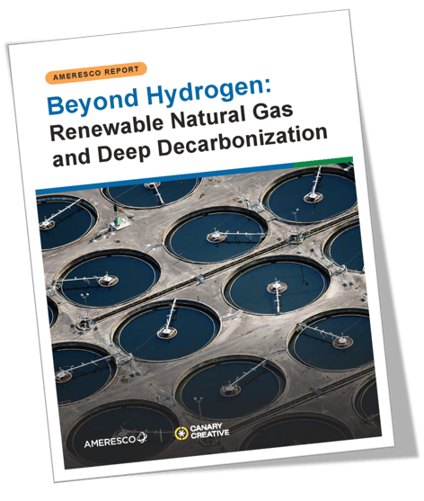 Beyond Hydrogen | Free White Paper | RNG and Deep Decarbonization Beyond Hydrogen | Free White Paper | RNG and Deep Decarbonization